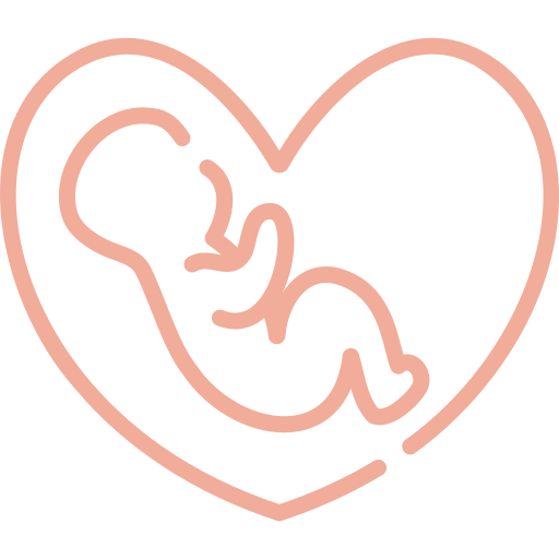Bump Plus | Preconception, Pregnancy & Breastfeeding Multivitamin